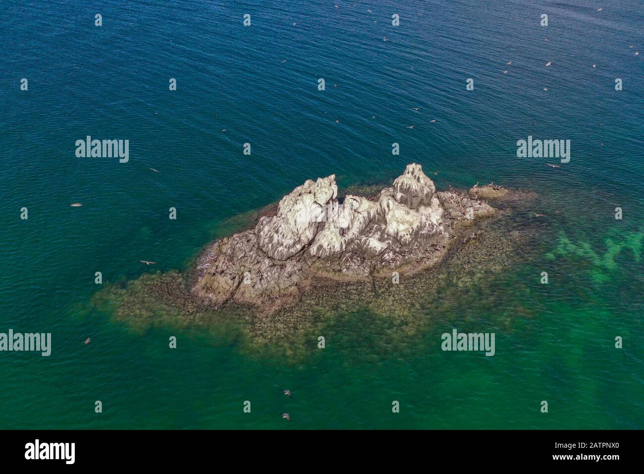 Islets, island in Choyudo beach. stable land area full of guano. Islet ...
