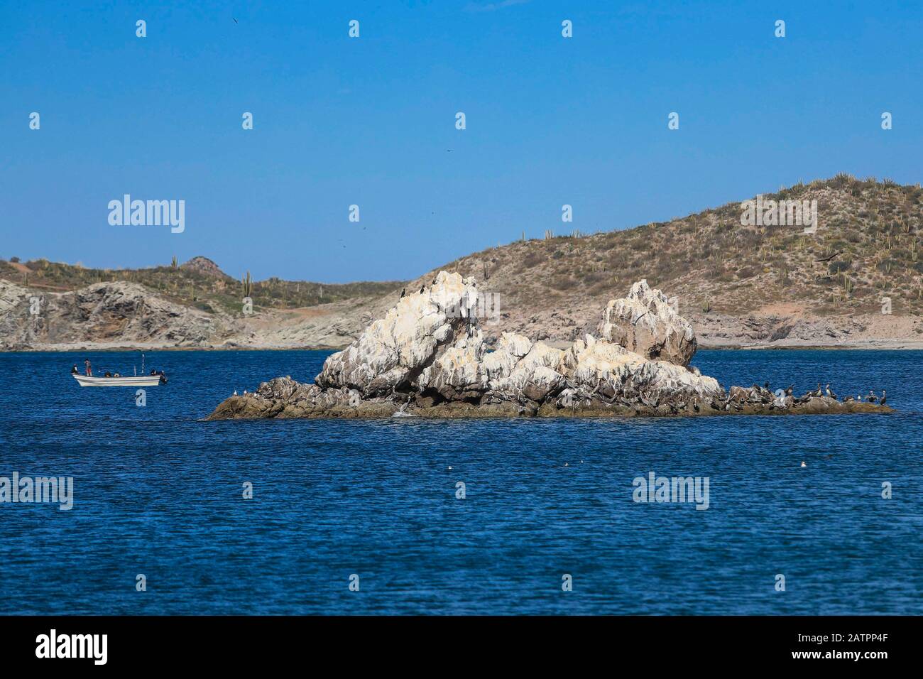 Islets, island in Choyudo beach. stable land area full of guano. Islet ...
