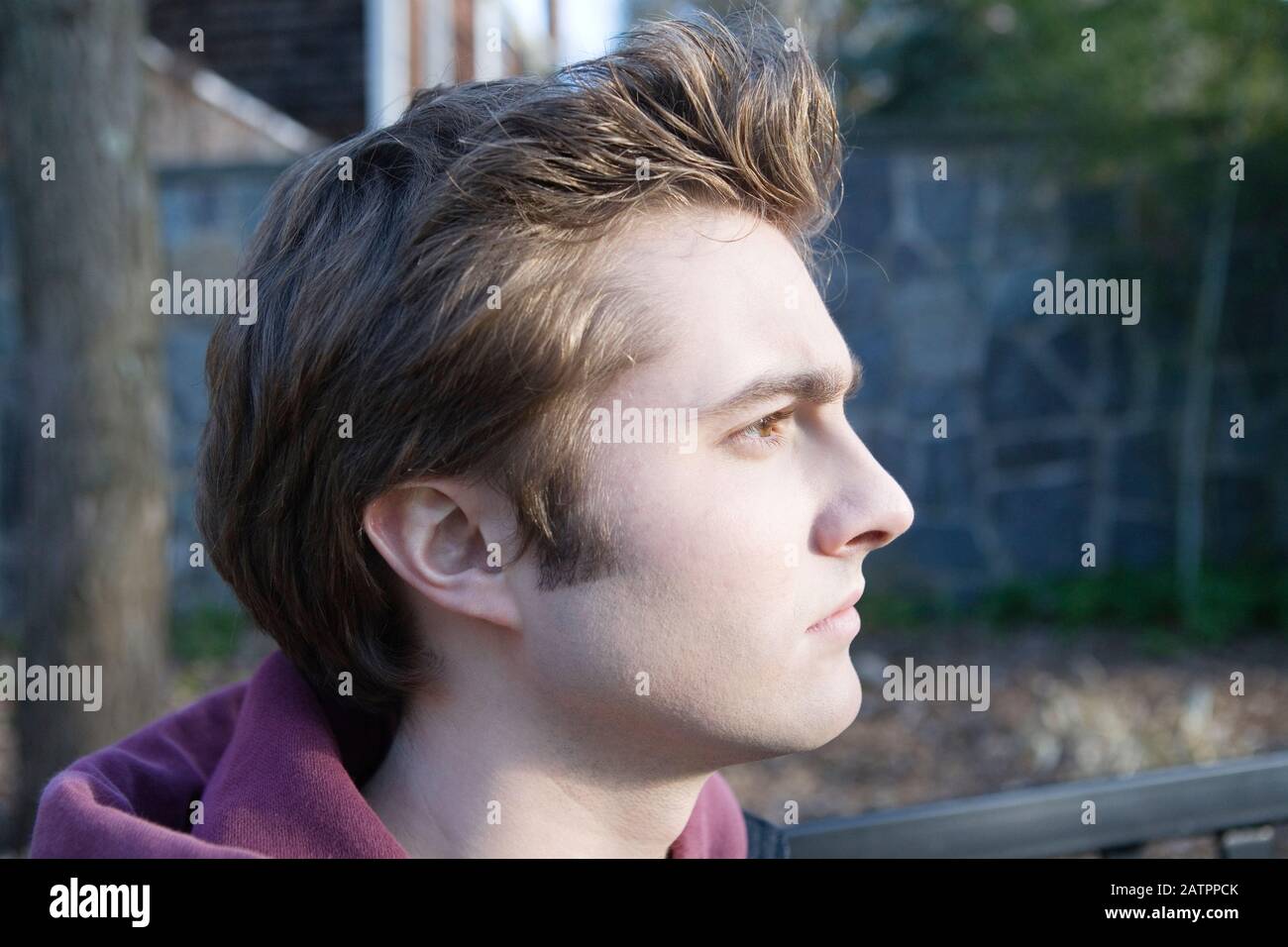 Profile of a young man Stock Photo - Alamy