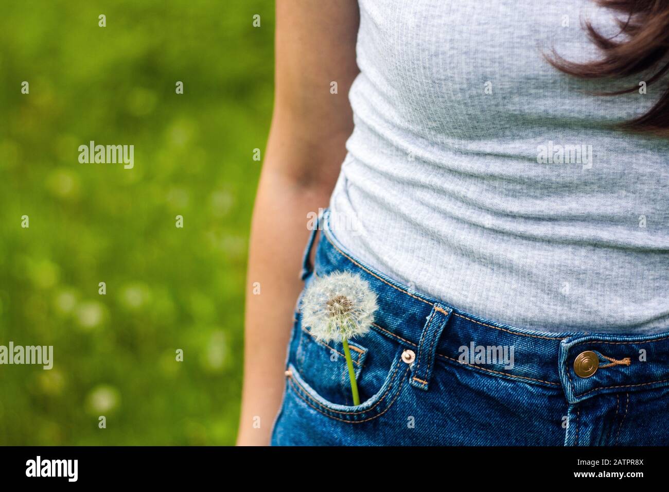 Moody picture of a dandelion flower in a jeans pocket on green ...