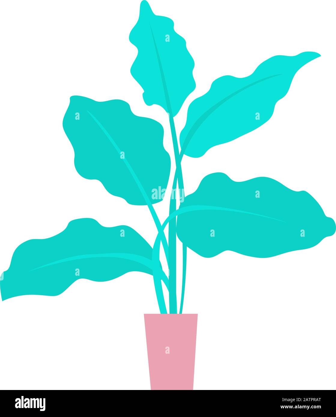 Office plant in a pot. Beautiful green leaves. Flat style for ...
