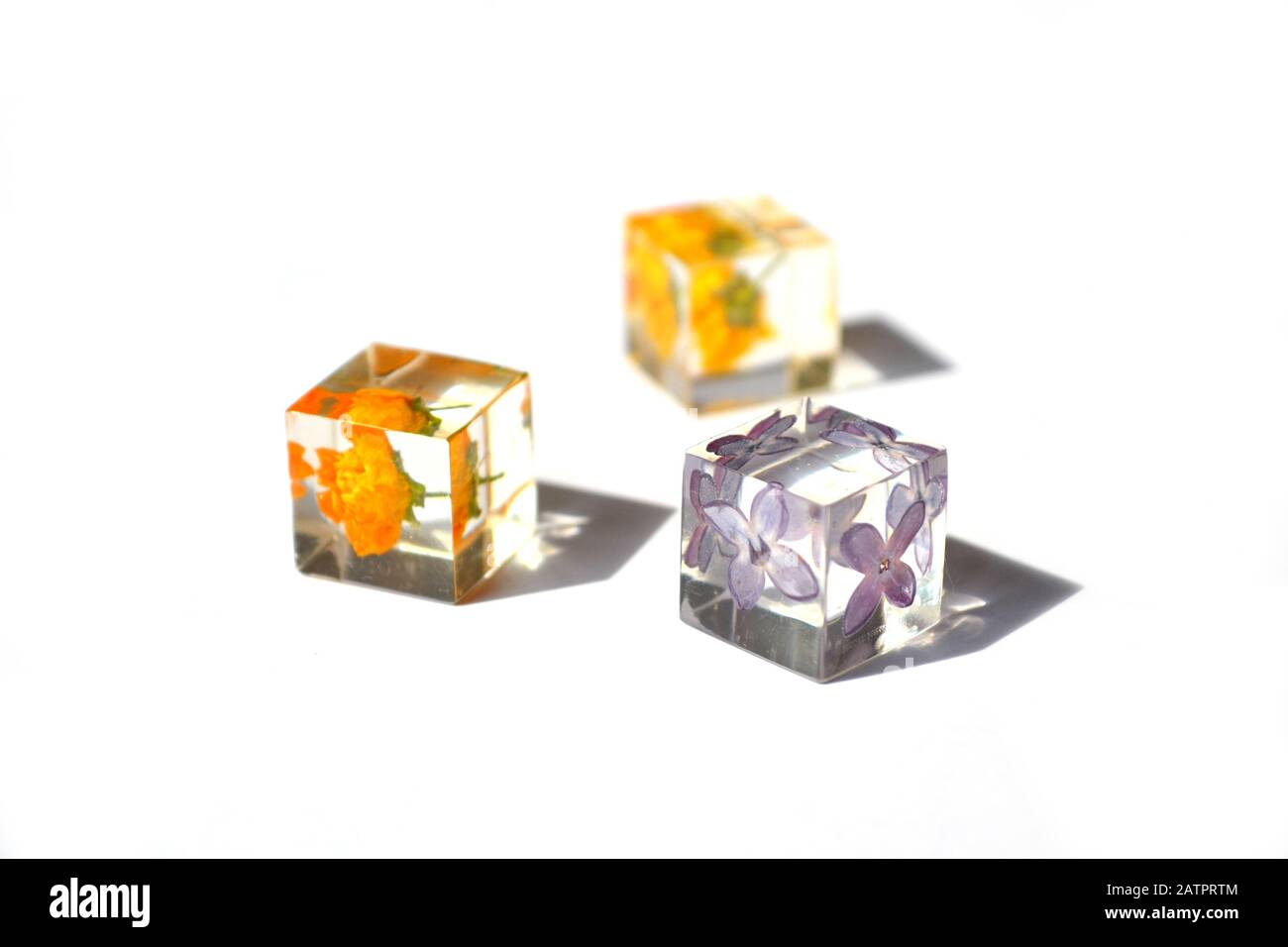 Dried flowers in epoxy resin cubes isolated on white background ...
