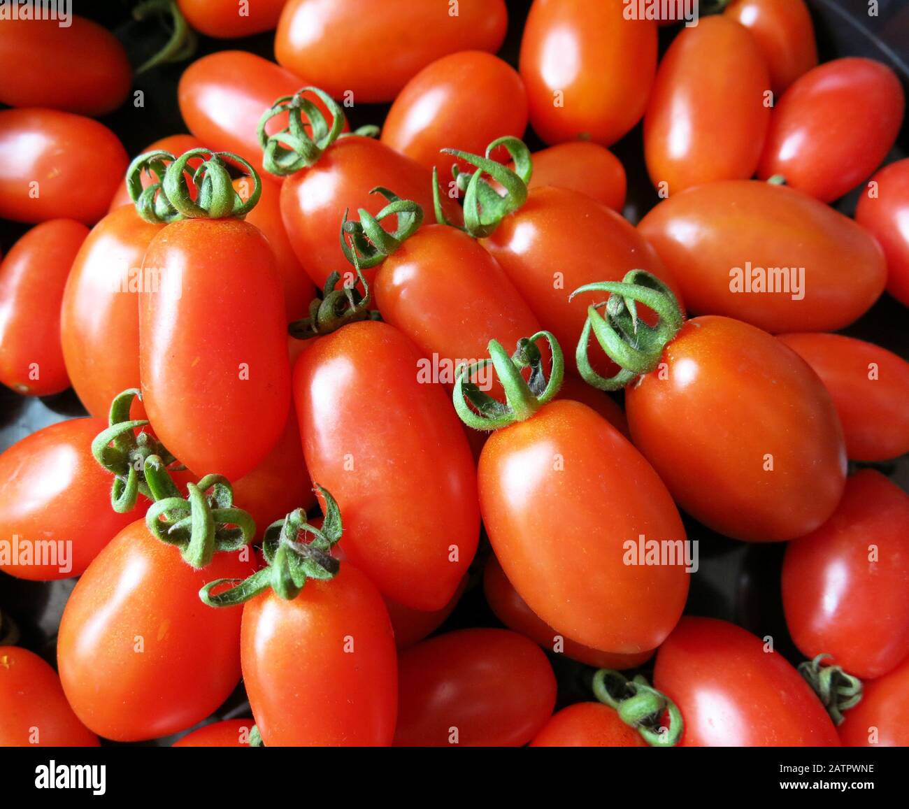 Oval shaped grape hi-res stock photography and images - Alamy