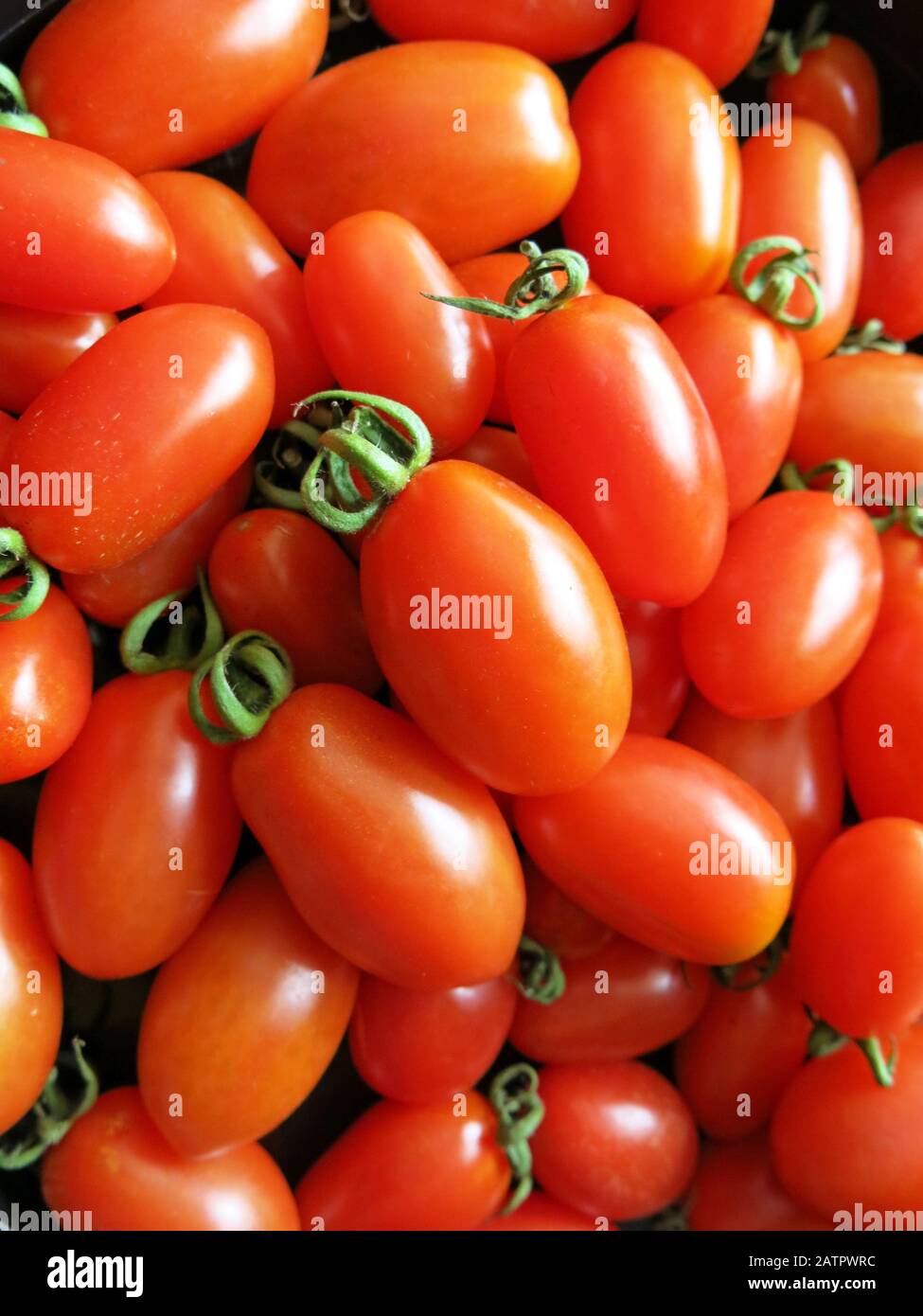 Fresh grape tomatoes Stock Photo - Alamy