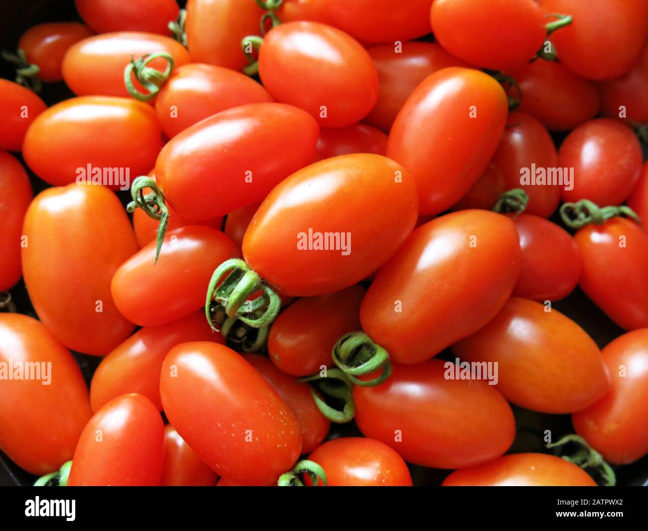 Oval shaped grape hi-res stock photography and images - Alamy