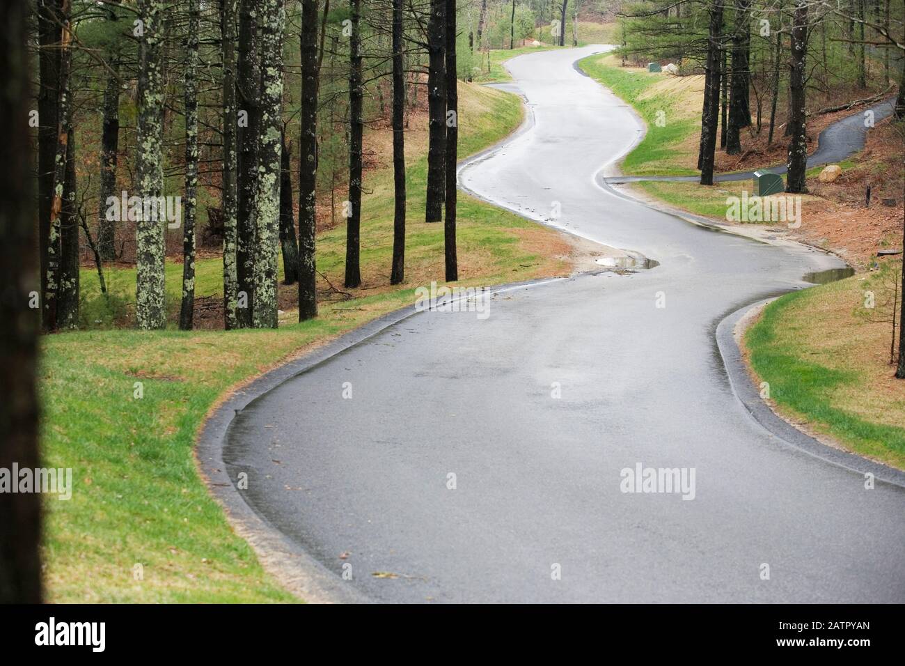 View of narrow pathway surrounded by trees Stock Photo - Alamy