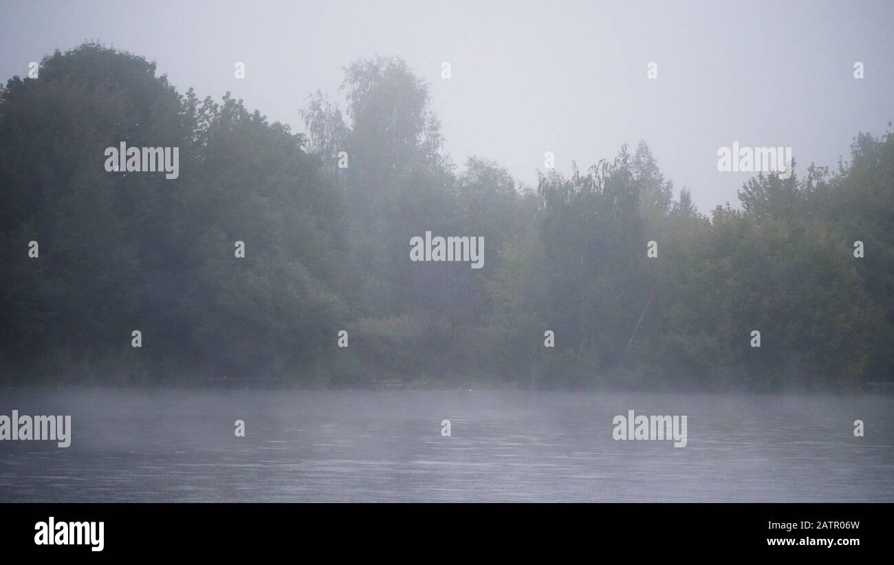 Early morning on the river in the forest in the fog above the water ...