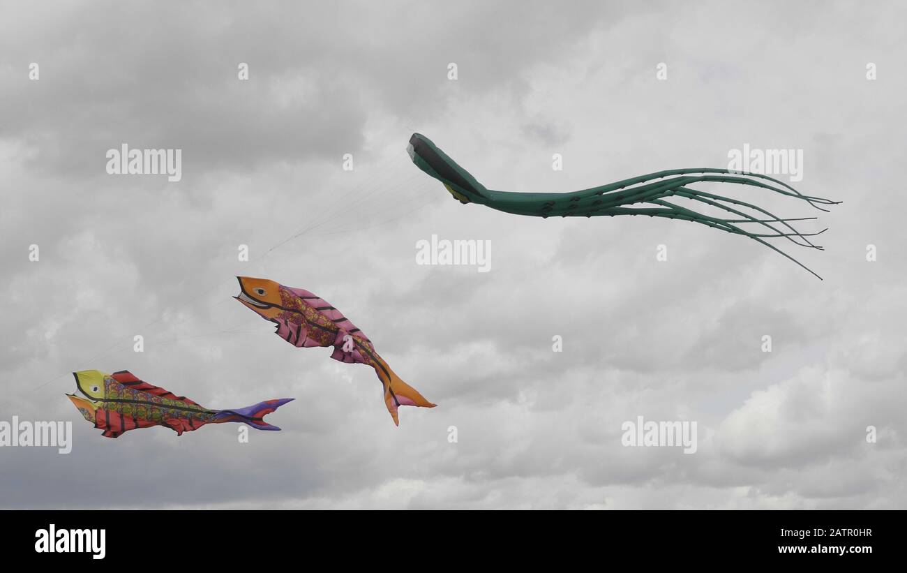 Kite competition thailand hi-res stock photography and images - Alamy