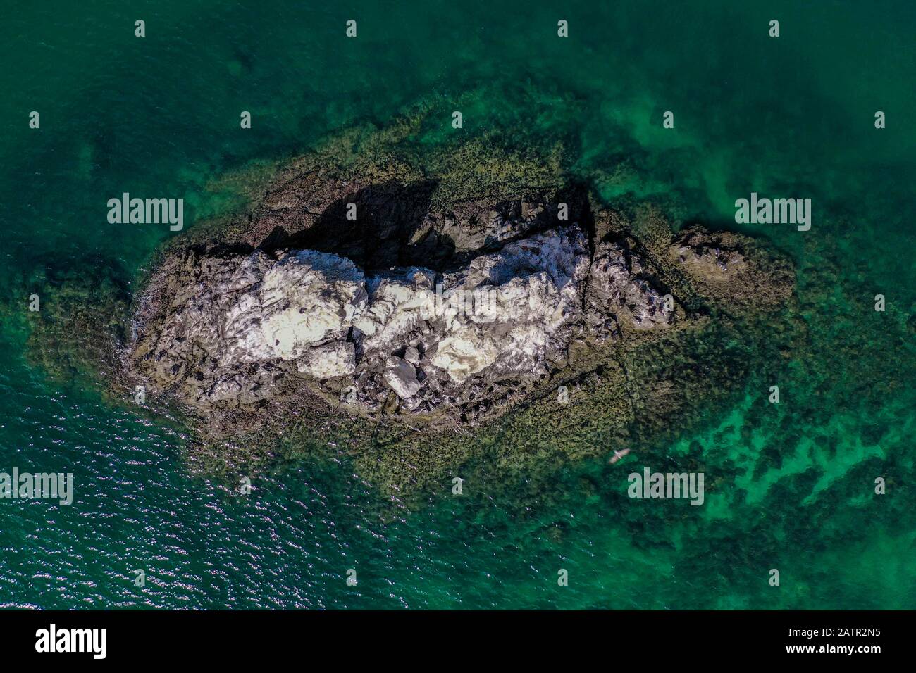 Islets, island in Choyudo beach. stable land area full of guano. Islet ...
