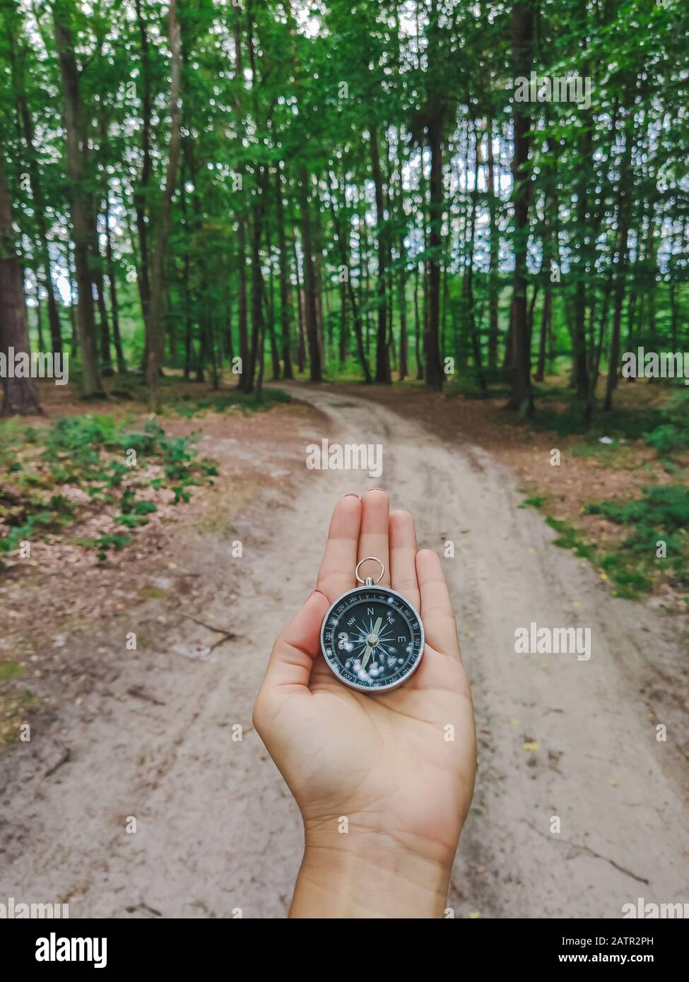 woman hand holding compass in forest Stock Photo - Alamy