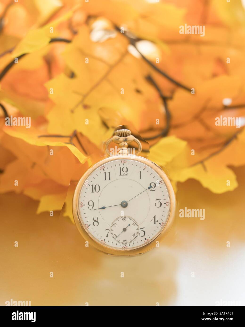 Very old gold antique pocket watch in a tranquil natural setting Stock ...
