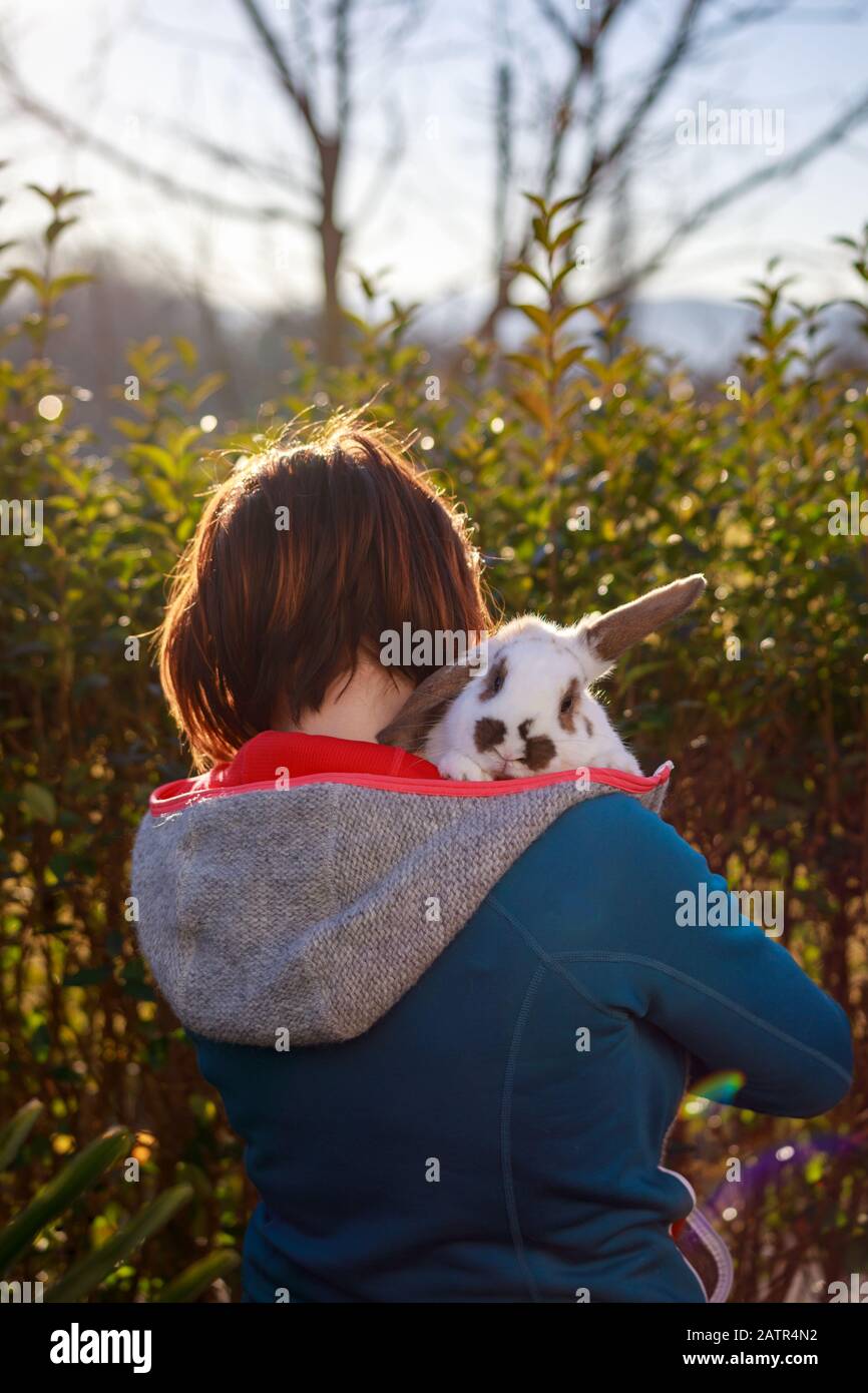 Beautiful girl with rabbit on a sunny day in the garden Stock Photo - Alamy