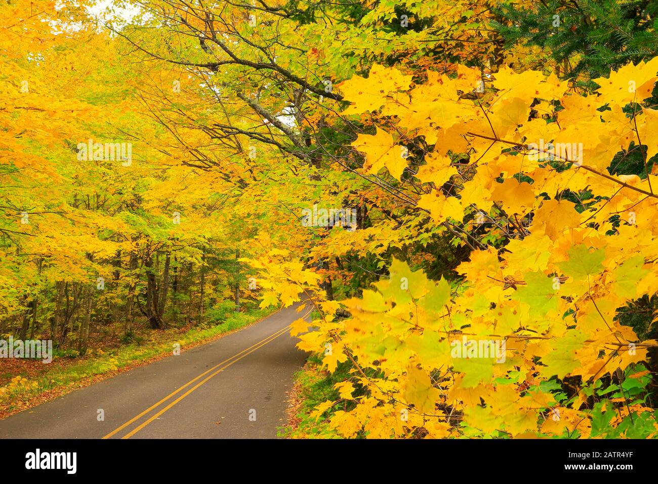 Log Slide Road, Pictured Rocks National Lakeshore, Grand Marias ...