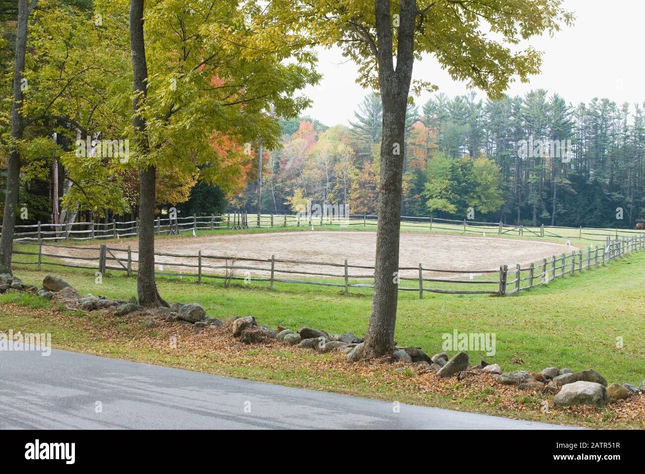 Horse ring in farm Stock Photo - Alamy