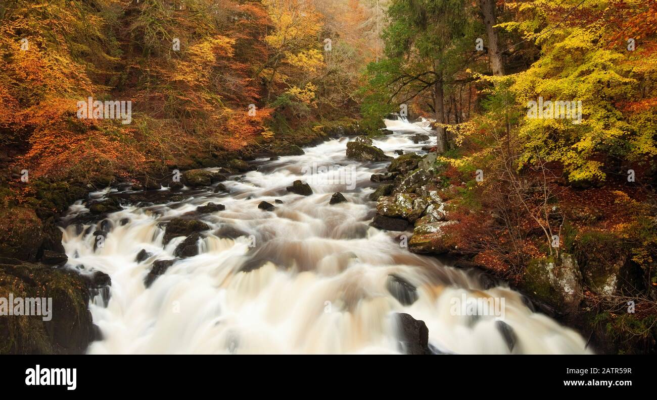 Black Linn Falls, The Hermitage, Dunkeld, Perthshire, Scotland, UK ...