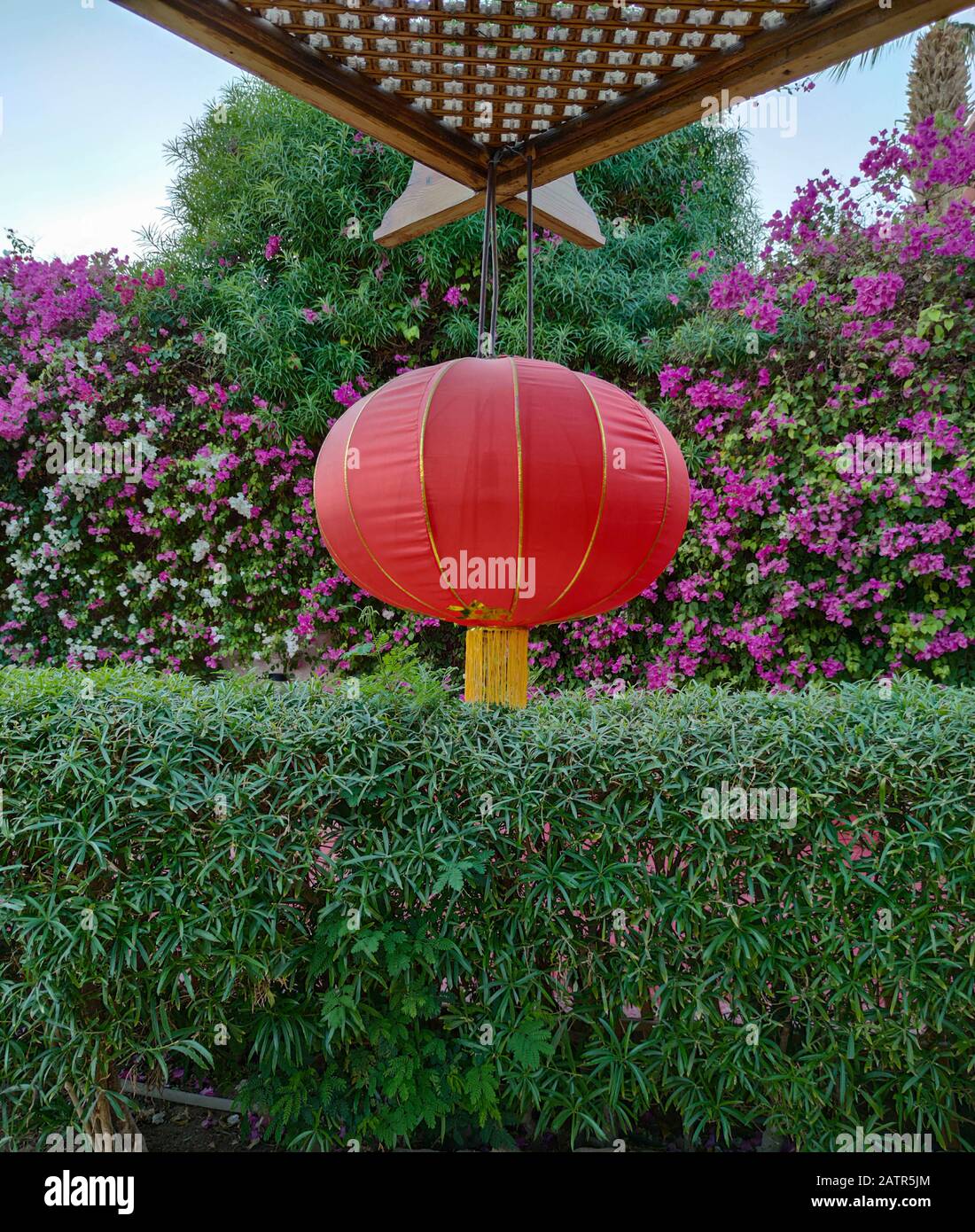 Red light cafe hi-res stock photography and images - Alamy