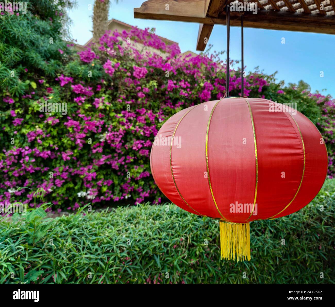 Hanging chinese lantern hi-res stock photography and images - Alamy