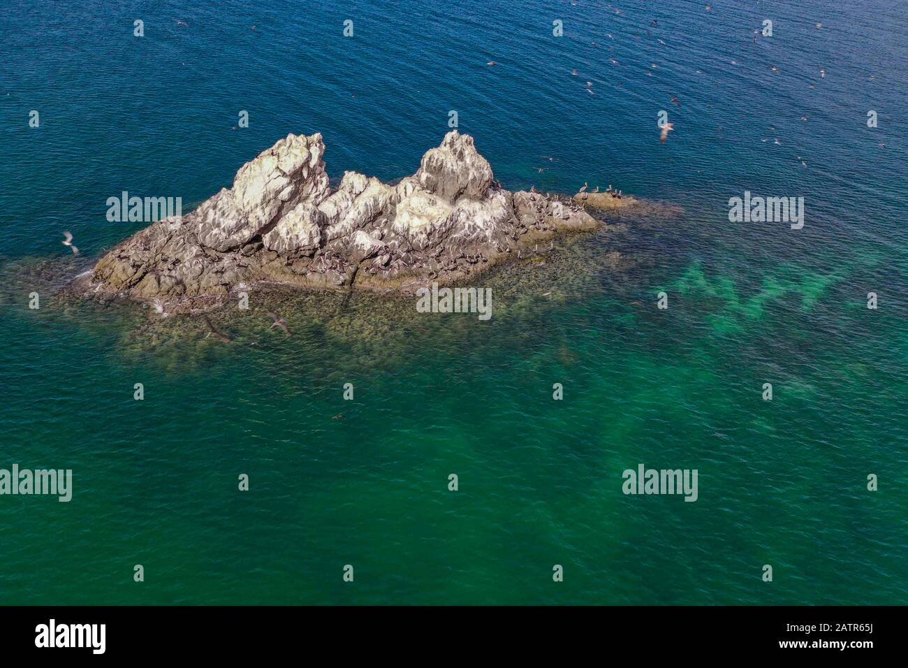 Islets, island in Choyudo beach. stable land area full of guano. Islet ...