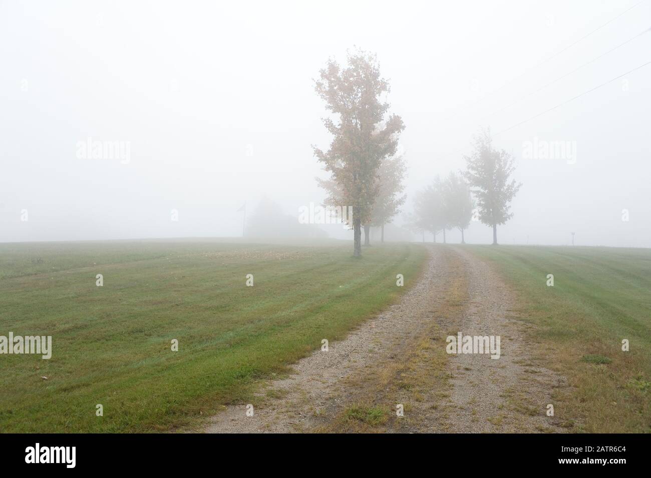 Foggy pathway amid a grassland Stock Photo - Alamy