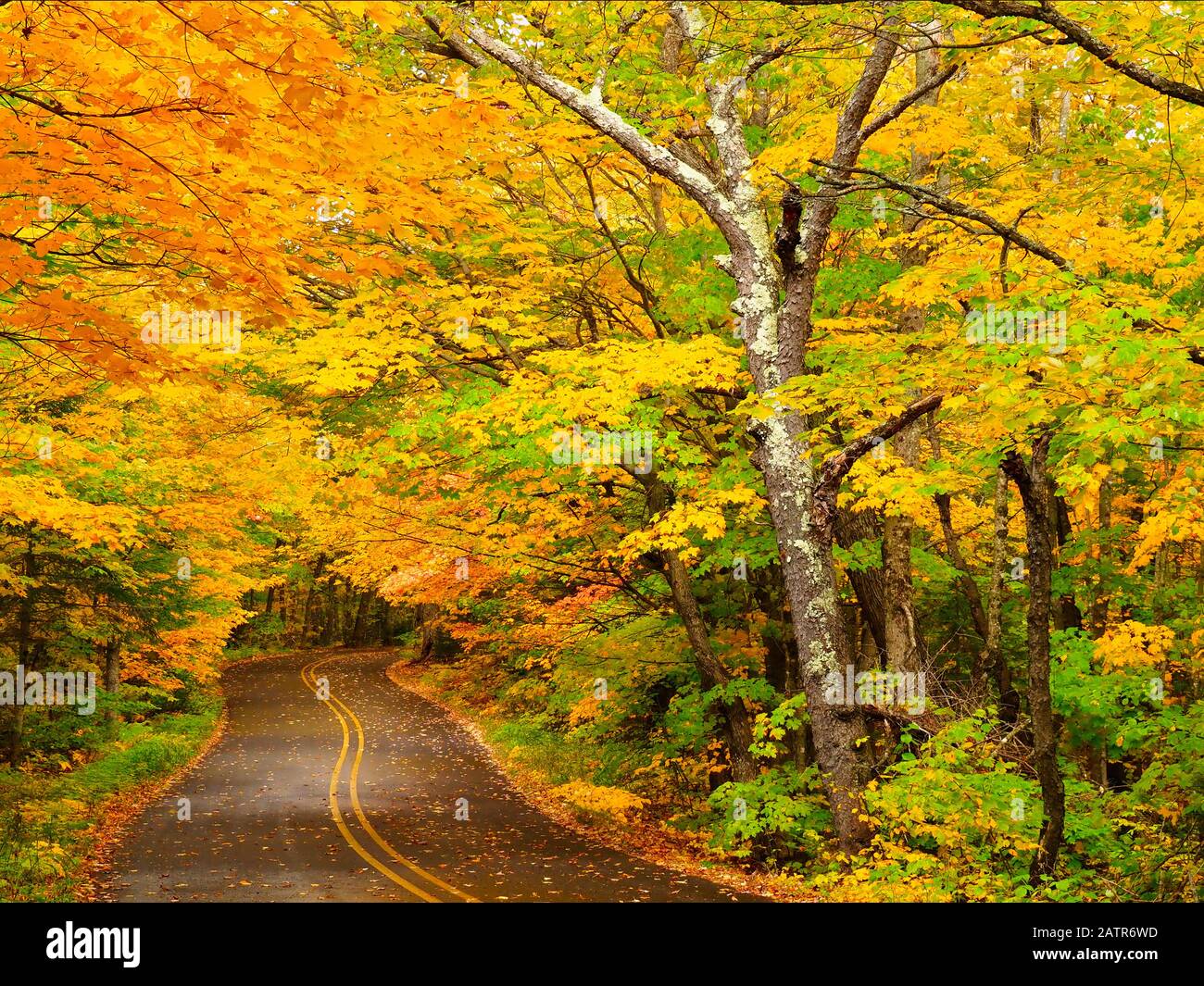 Log slide hi-res stock photography and images - Alamy