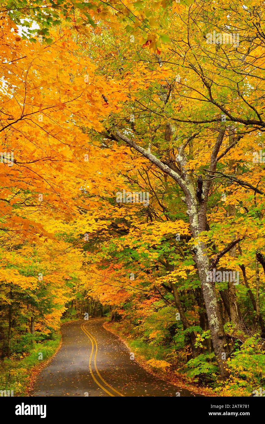Log Slide Road, Pictured Rocks National Lakeshore, Grand Marias ...