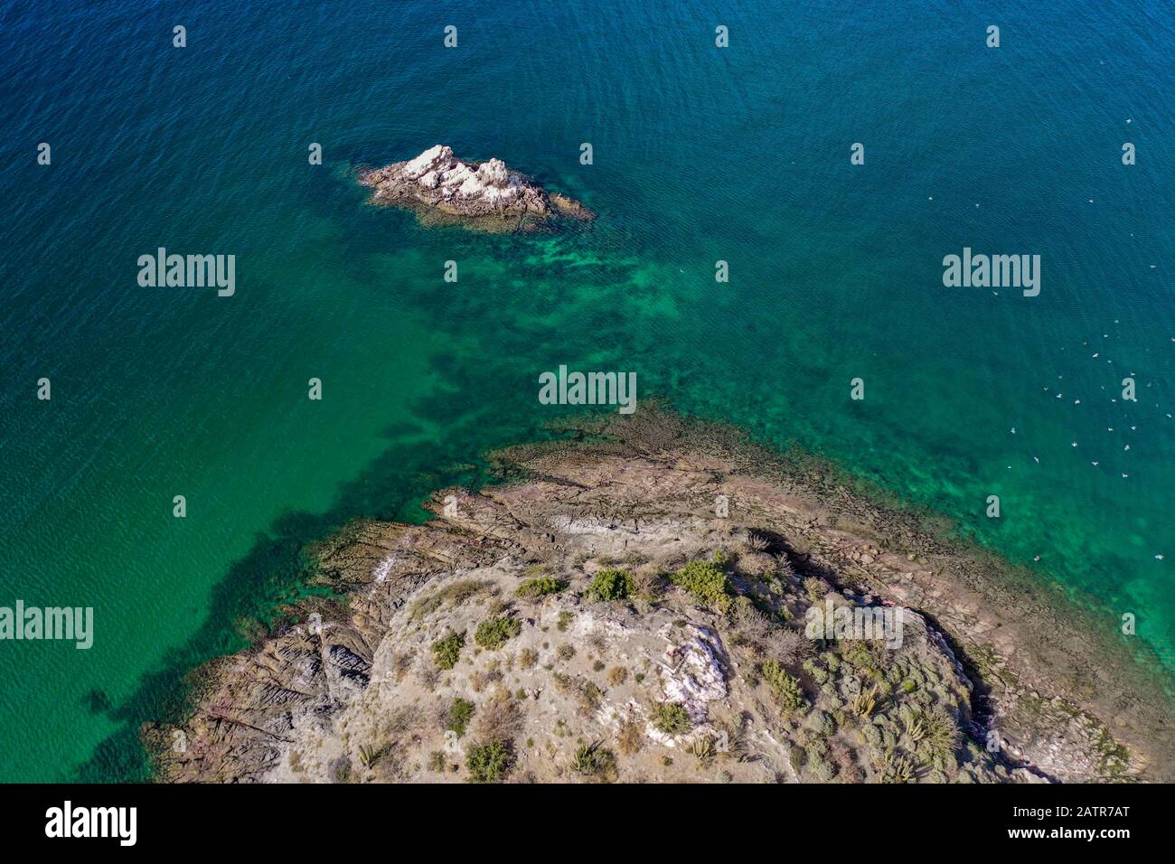 Islets, island in Choyudo beach. stable land area full of guano. Islet ...