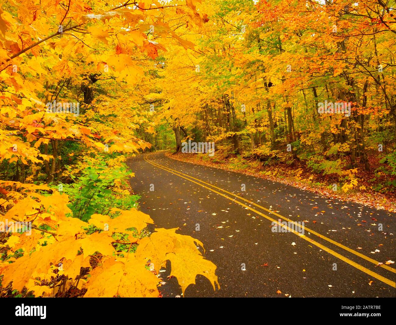 Log Slide Road, Pictured Rocks National Lakeshore, Grand Marias ...