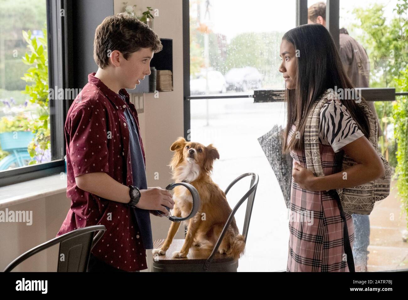 THE HEALING POWERS OF DUDE, from left: Jace Chapman, Dude the dog, Gabrielle Quinn in 'Middle ...