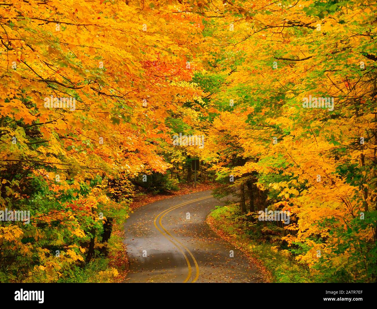 Log Slide Road, Pictured Rocks National Lakeshore, Grand Marias ...