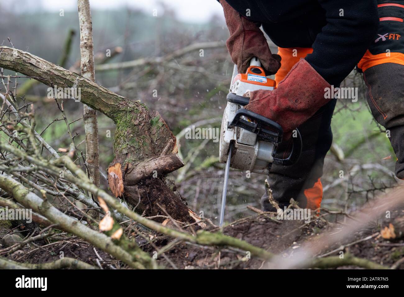 Hedge laying tools hi-res stock photography and images - Alamy