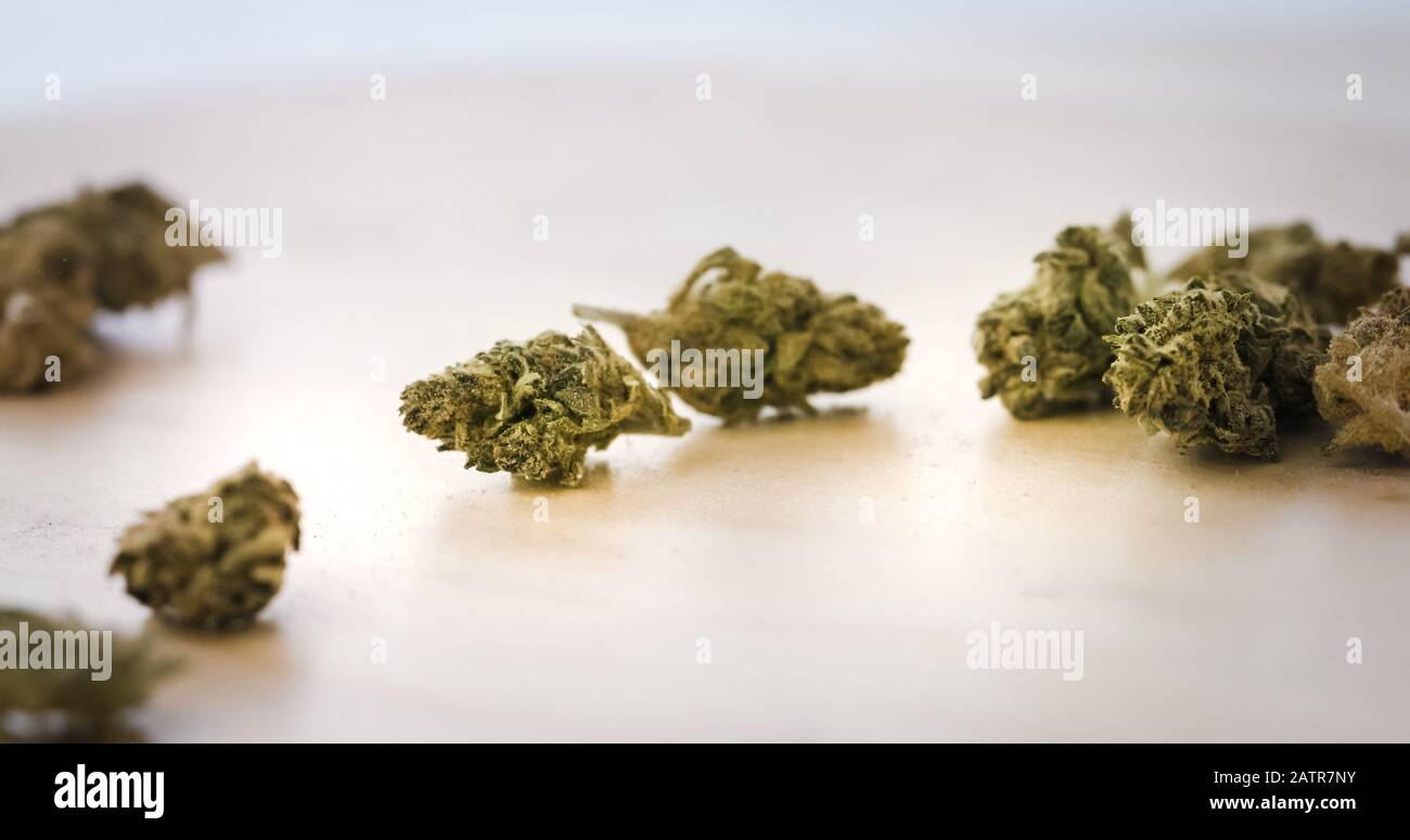 Cannabis marijuana leaf buds hi-res stock photography and images - Alamy