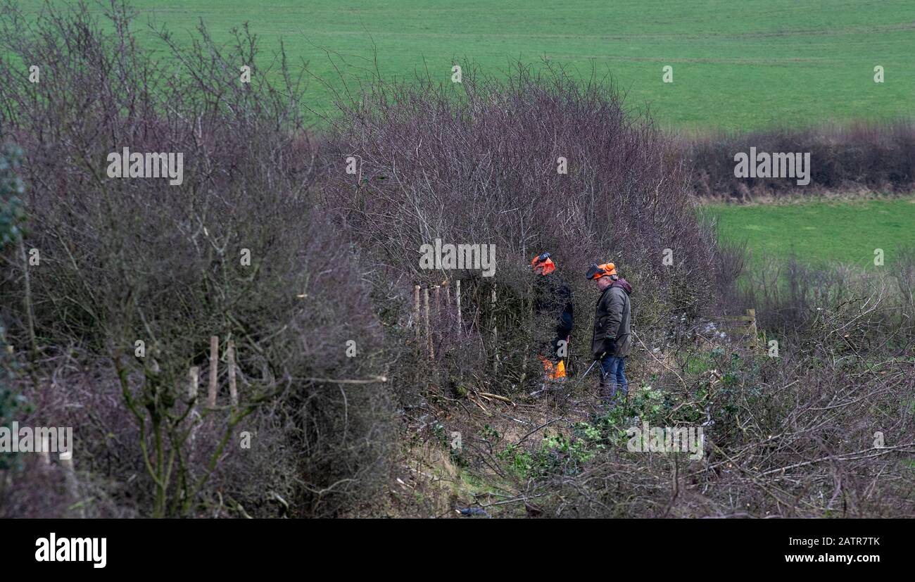Hedge laying tools hi-res stock photography and images - Alamy