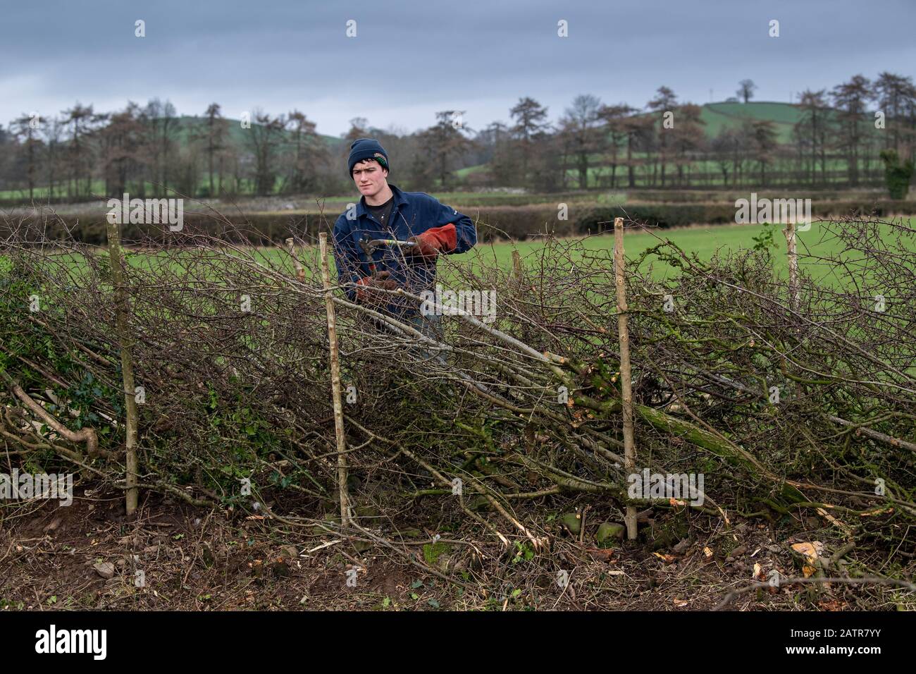 Boundary tree farm hi-res stock photography and images - Alamy