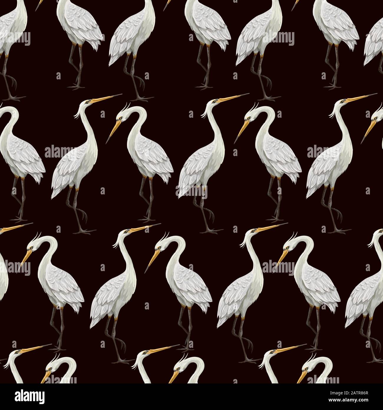 Traditional fly pattern hi-res stock photography and images - Alamy