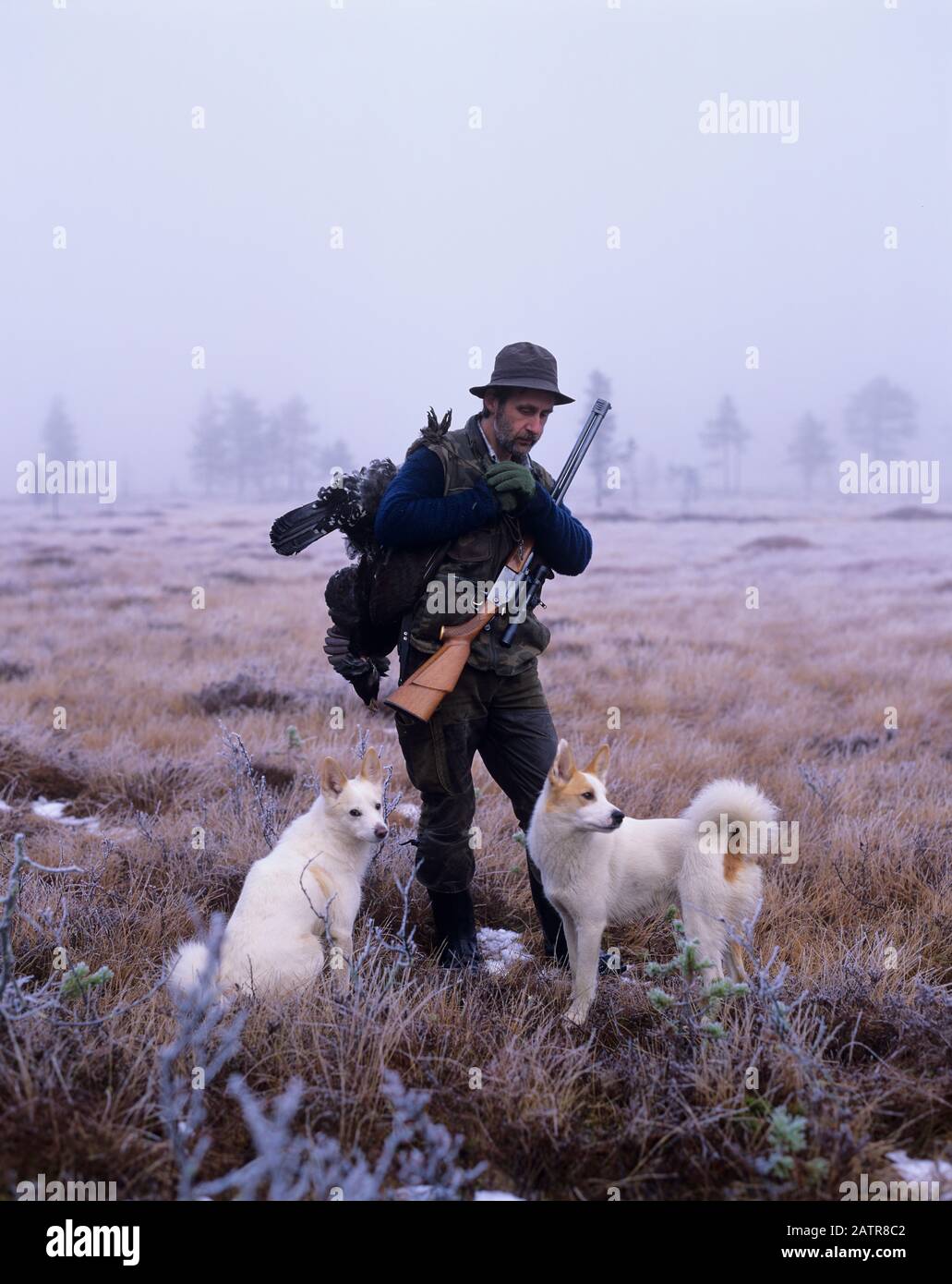 Bird hunter on mire Stock Photo - Alamy