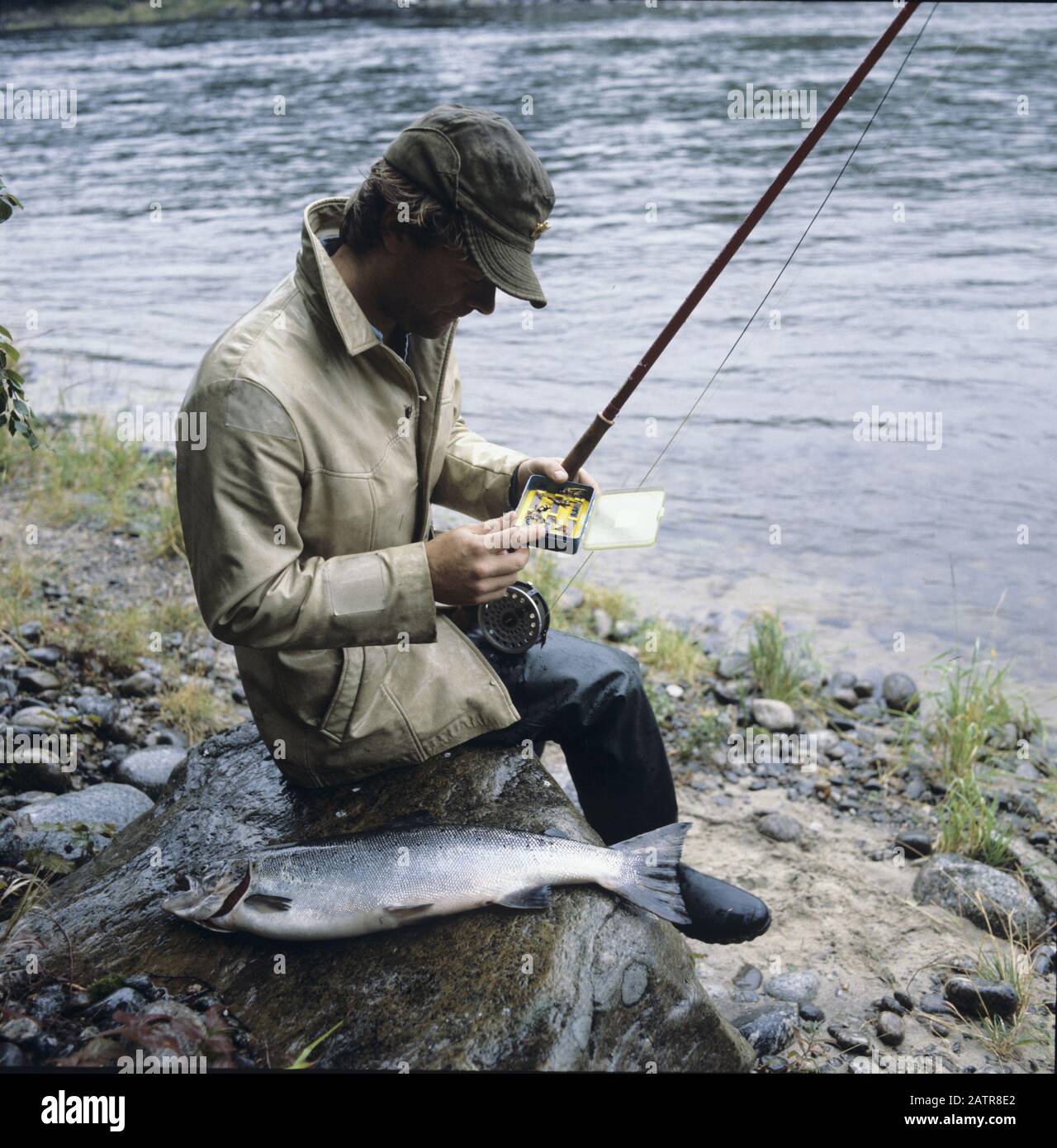 Fly fisherman with salmon catch Stock Photo - Alamy