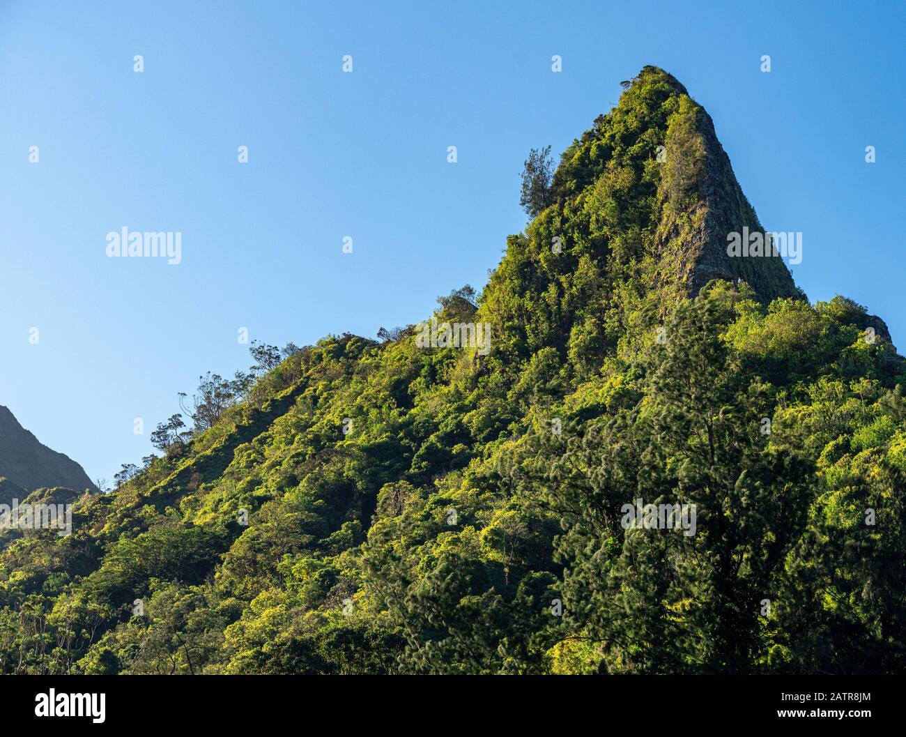 Steep tree covered mountain ridge rises above the Nu'uanu Pali lookout ...