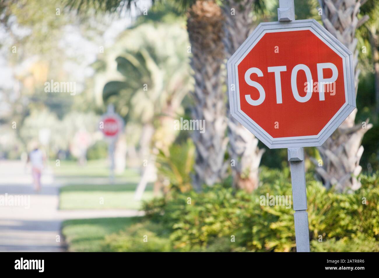 Stop Sign at the roadside Stock Photo - Alamy