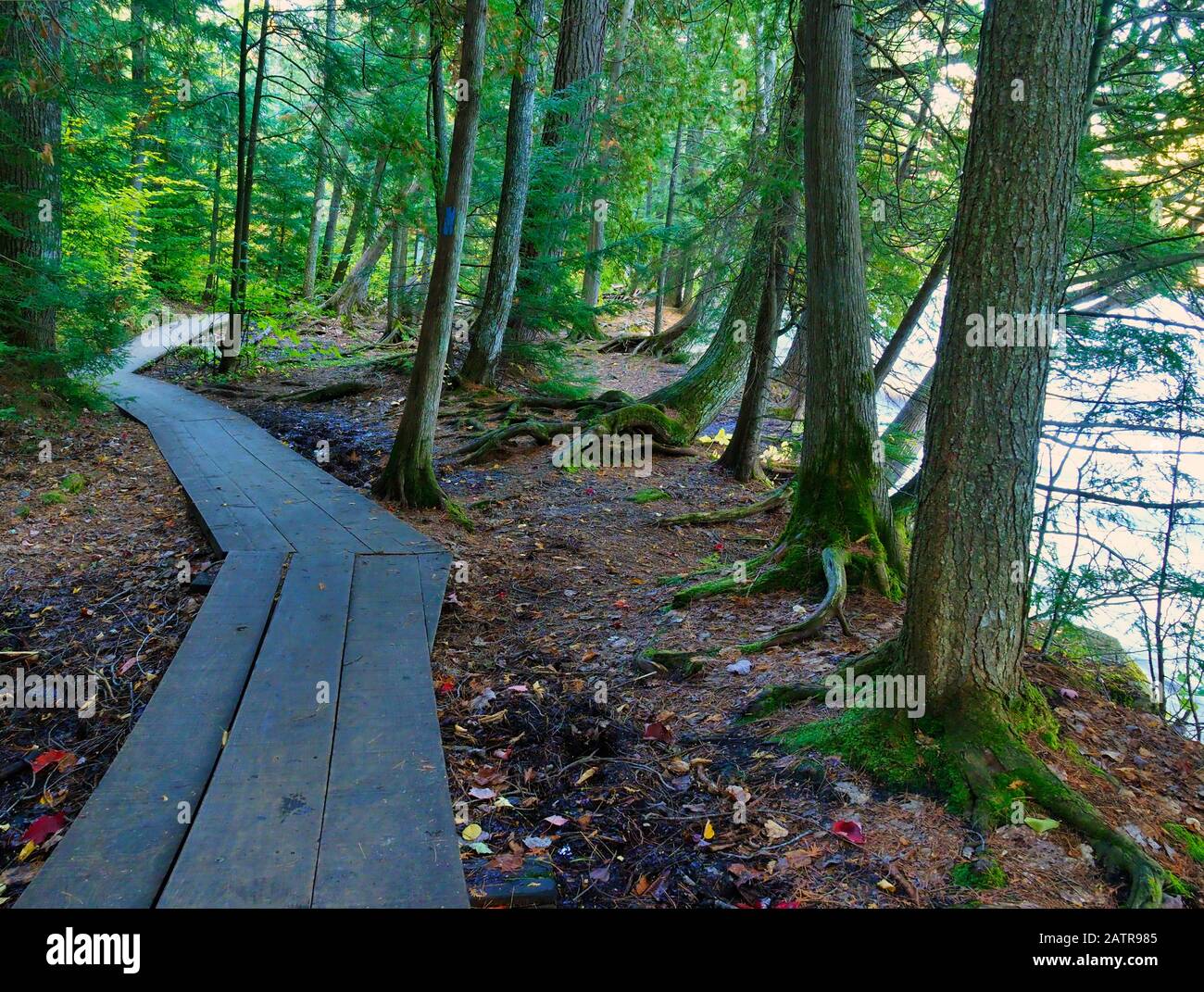 Lower Tahquamenon Falls, Tahquamenon Falls State Park, Upper Penninsula ...