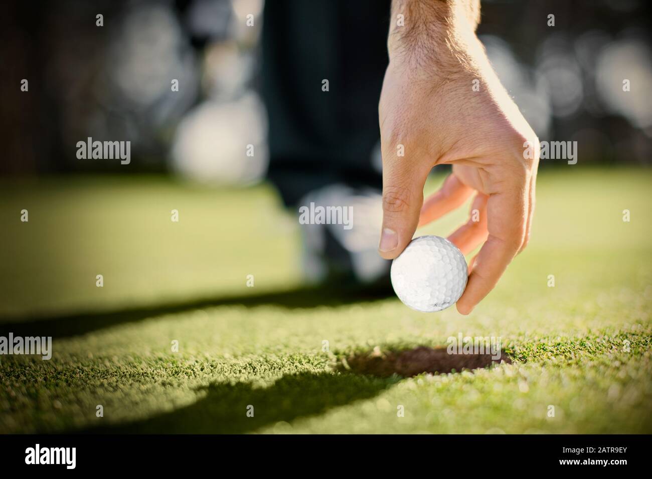 Hand holding a golf ball above a hole on a golf course Stock Photo - Alamy