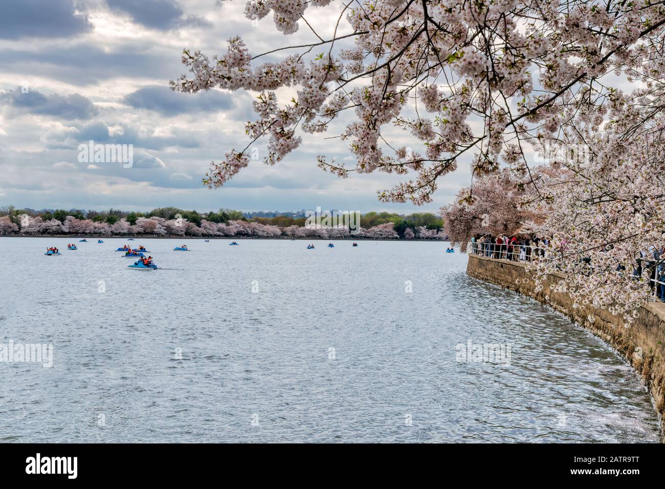 Washington D.C., USA - April 6, 2019: Tourists Enjoying a Boat Ride in ...