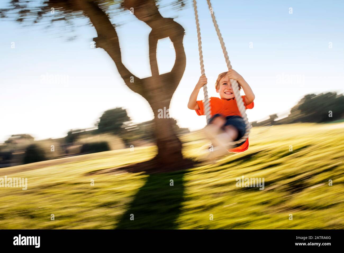 Happy young boy playing on a tree swing Stock Photo - Alamy