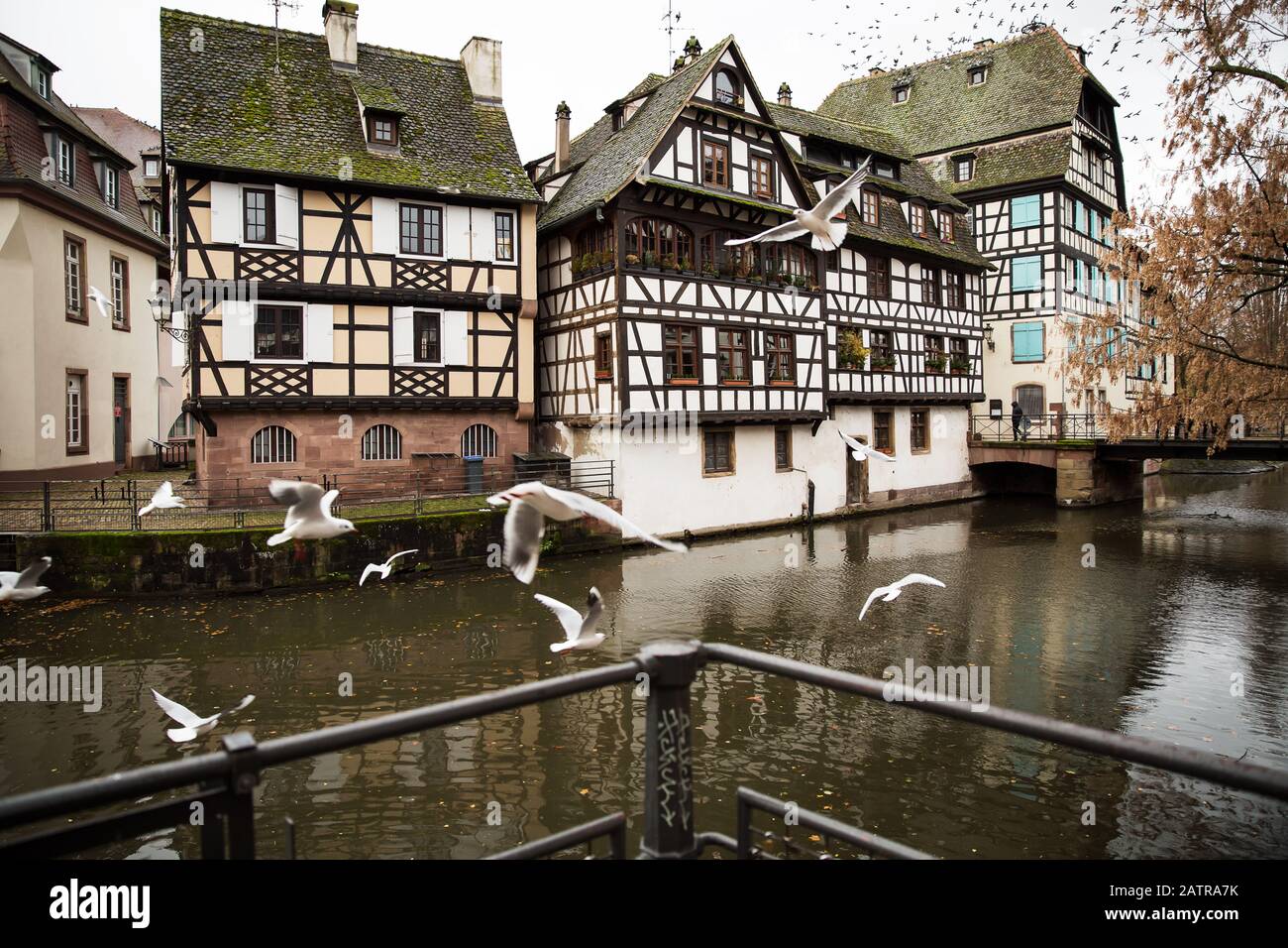 Old town water canal of Strasbourg, Alsace, France. Traditional half ...