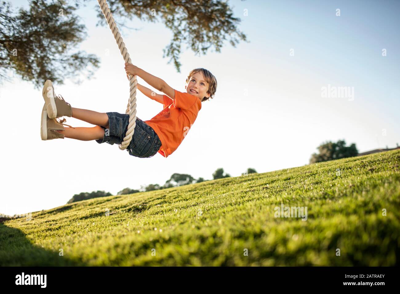 Happy young boy playing on a rope swing at a park Stock Photo - Alamy