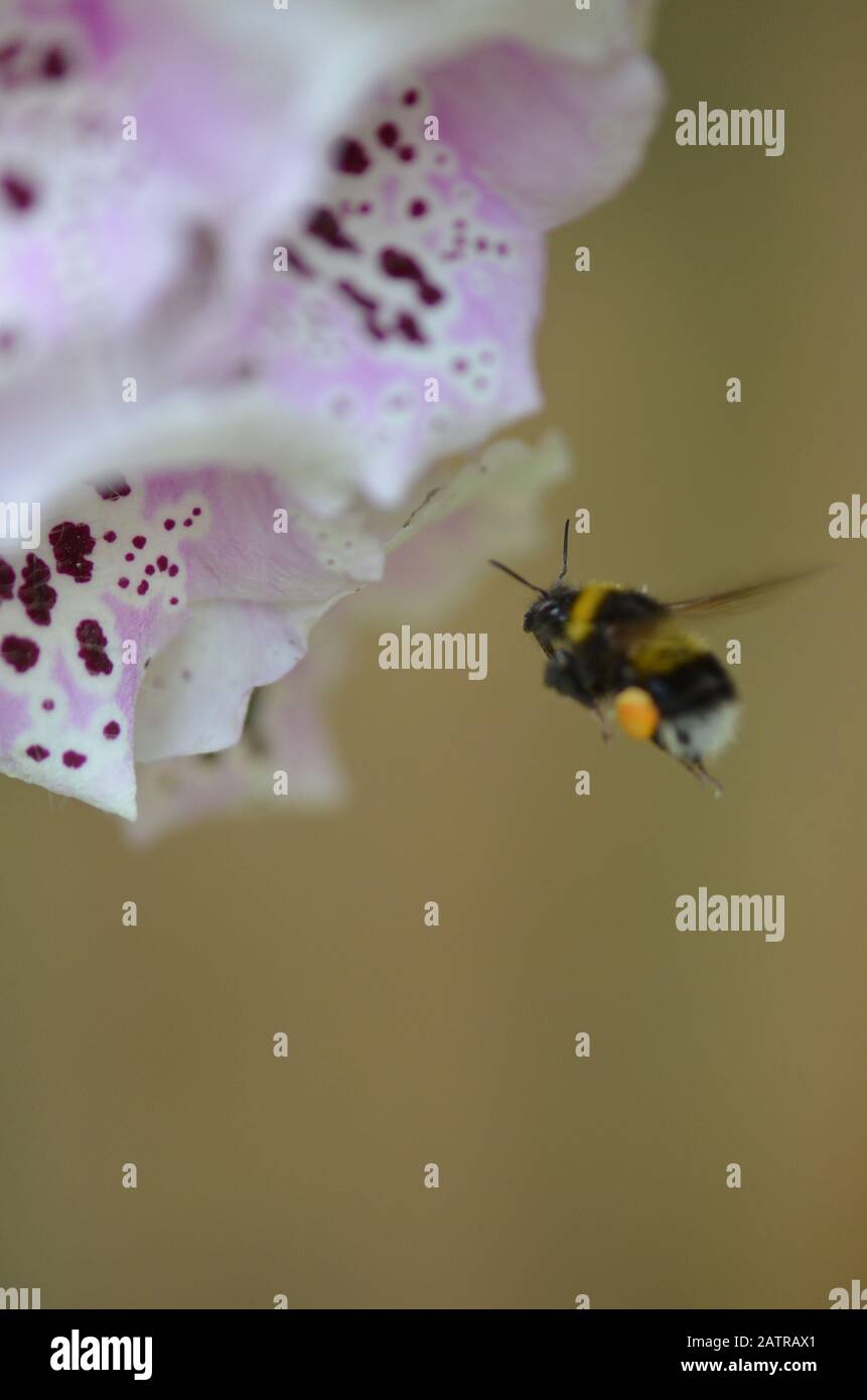 Ariving hi-res stock photography and images - Alamy