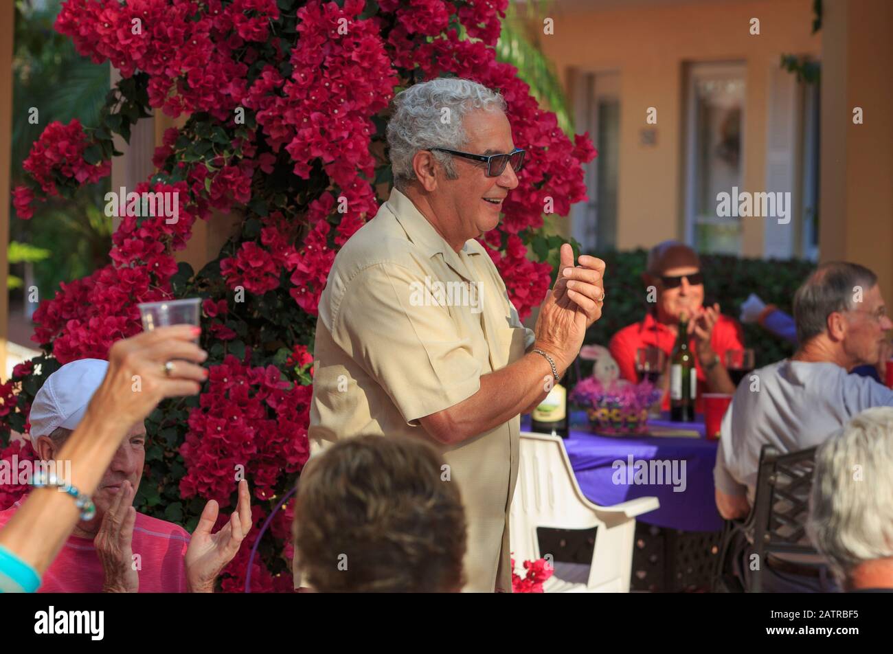 Woman giving toast party hi-res stock photography and images - Alamy