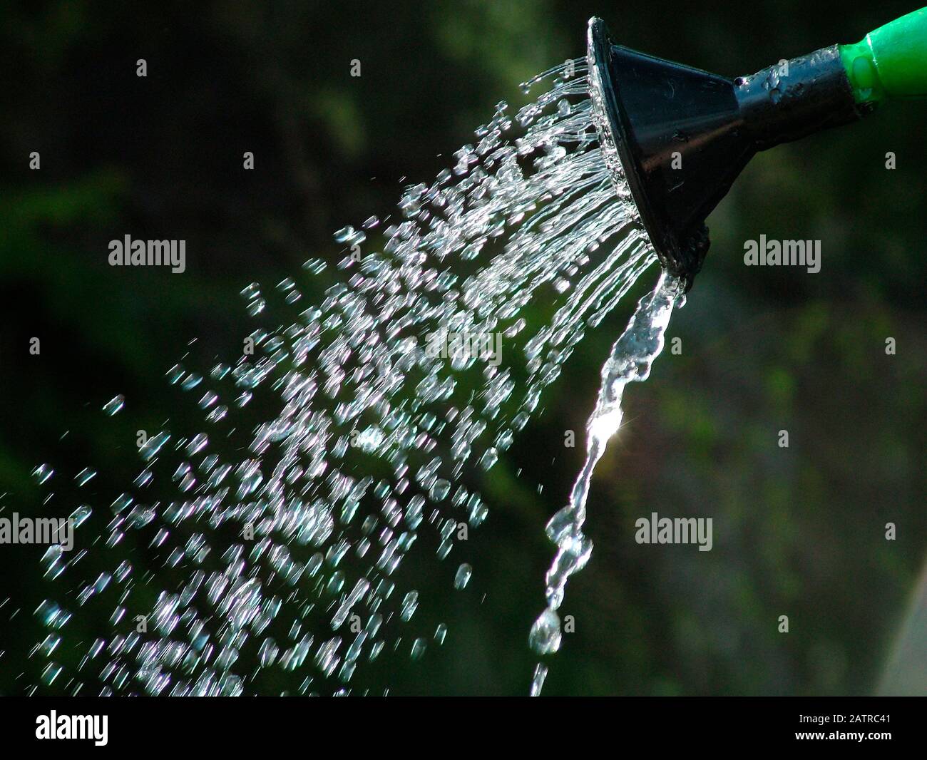 Irrigation with watering can Stock Photo - Alamy