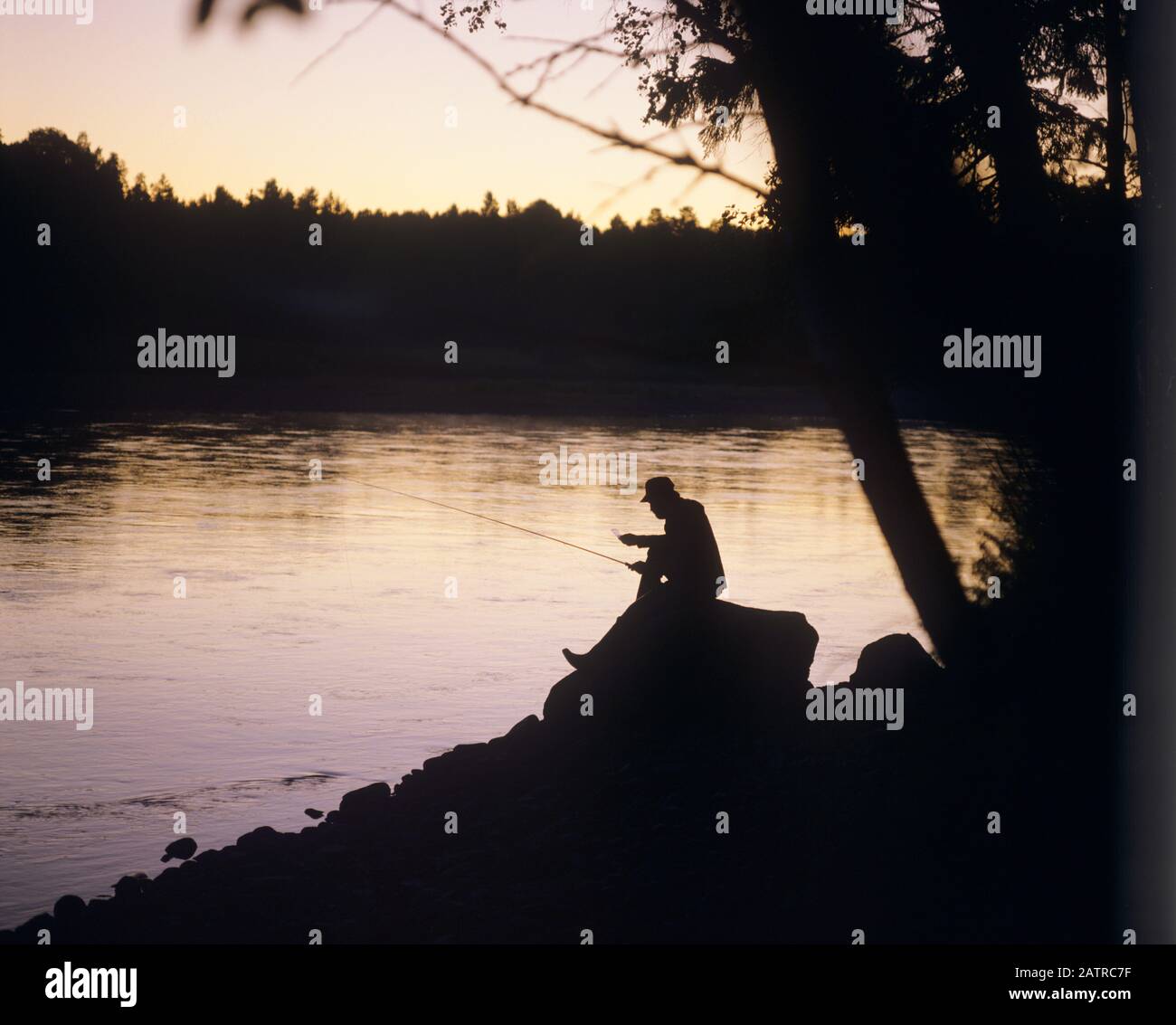 Fly fishing brake in sunset Stock Photo - Alamy