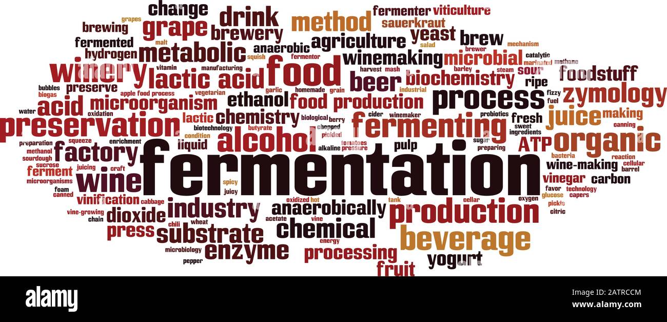Fermentation word cloud concept. Collage made of words about ...