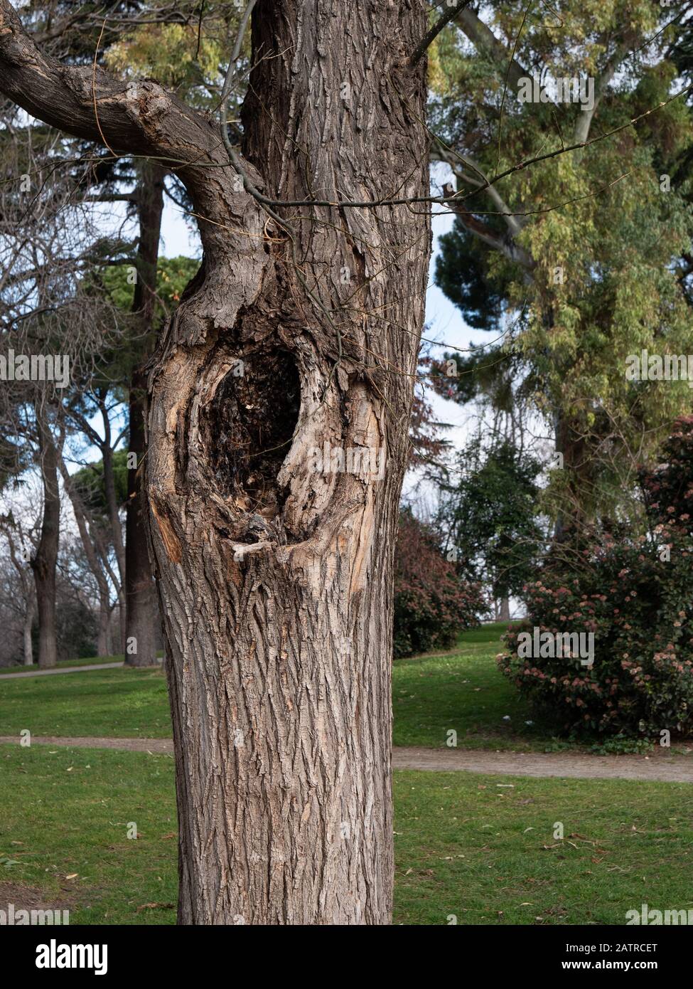 Rough hollow hi-res stock photography and images - Alamy